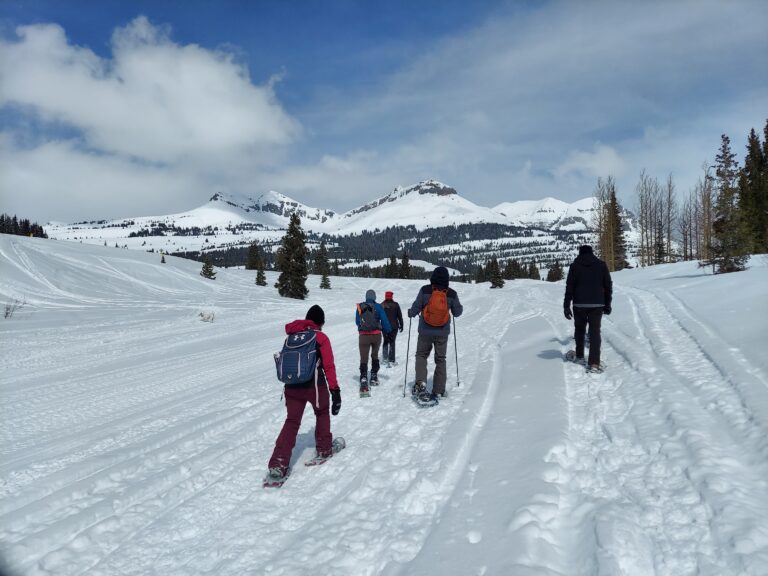 What is Snowshoeing + Tips for Beginners - TripOutside