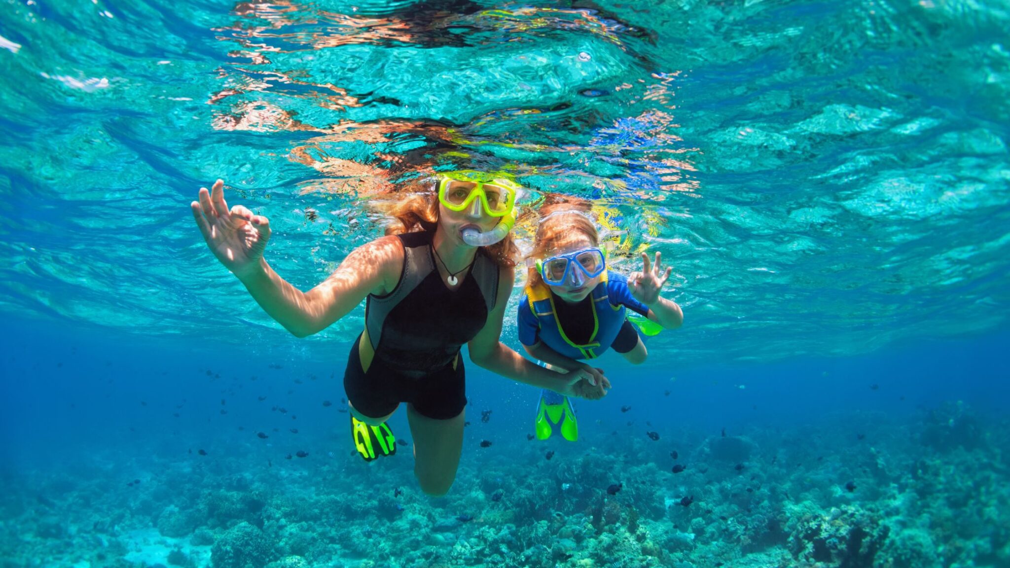 Guide to the Best Snorkeling in Florida (7 spots with map ...