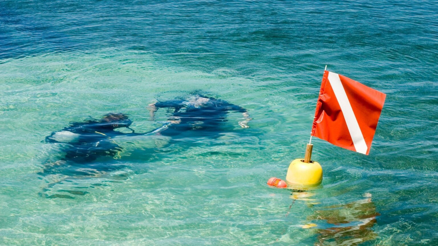 Guide to Scuba Diving for Beginners - Essentials to Get Started