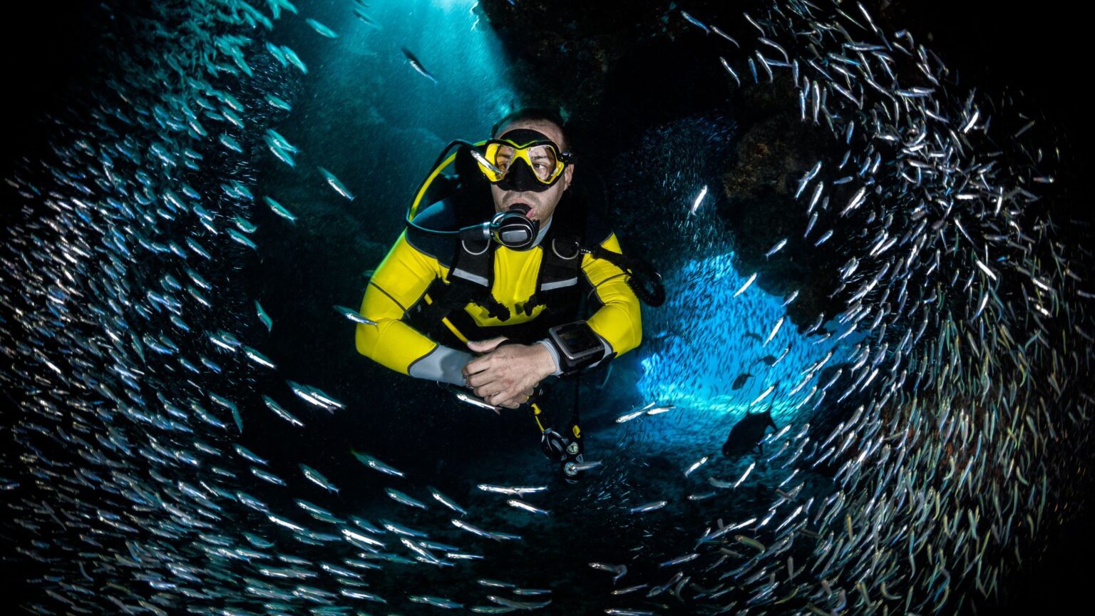 Guide to Scuba Diving for Beginners - Essentials to Get Started
