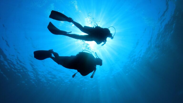 Guide to Scuba Diving for Beginners - Essentials to Get Started